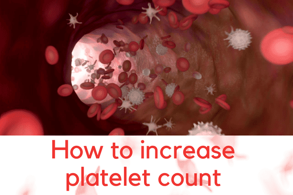 How to Increase Platelet Count- TERI MERI NEWS